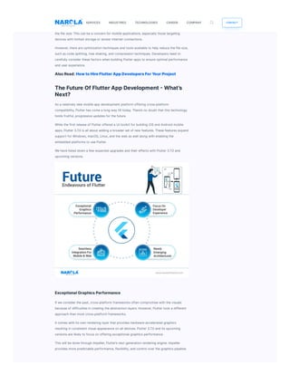 The Future Of Flutter App Development: What to Expect Next? | PDF | Programming Languages ...