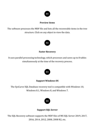 SQL Repair Tool. | PDF | Databases | Computer Software and Applications