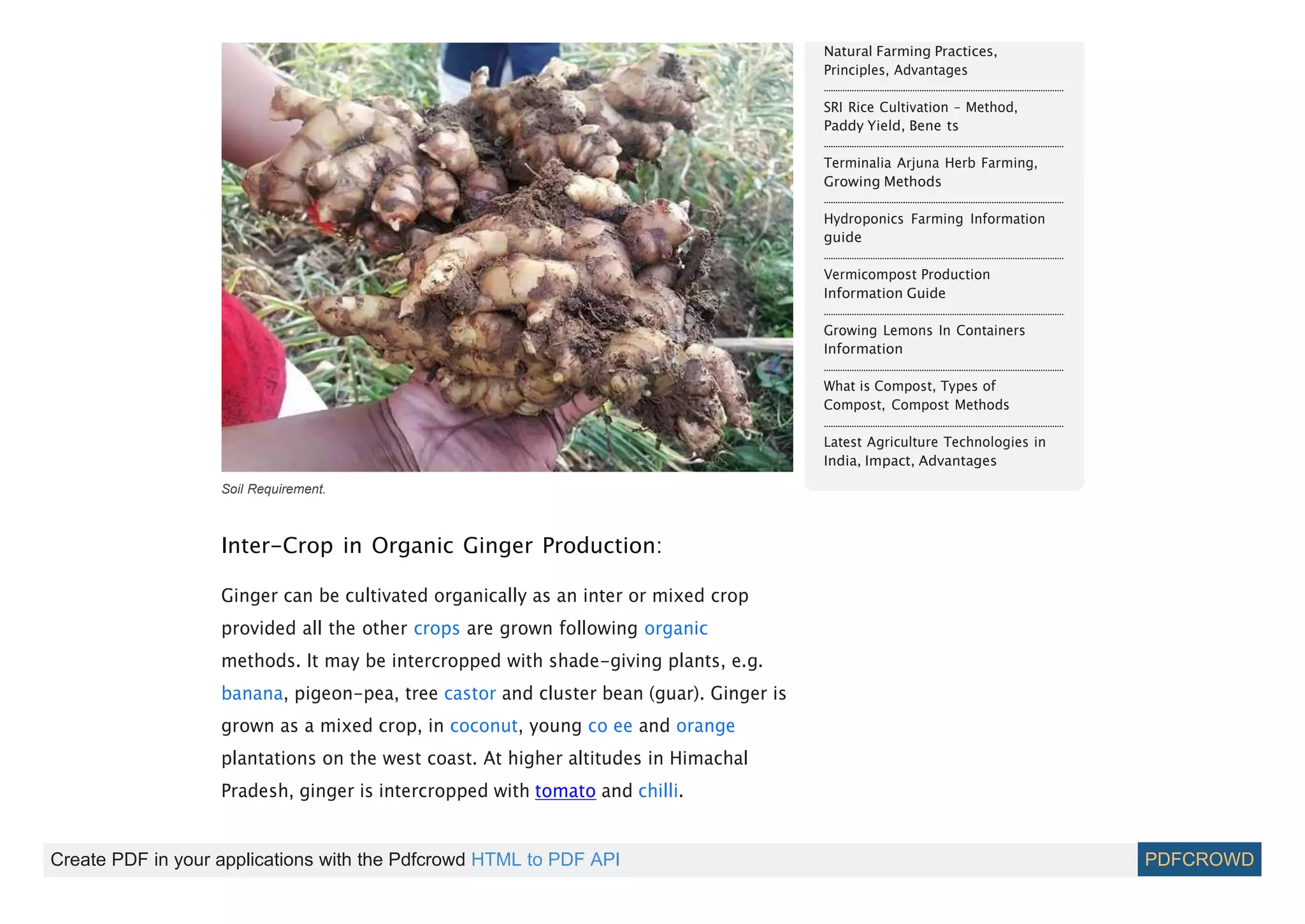Www agrifarming in_ginger_farming | PPT