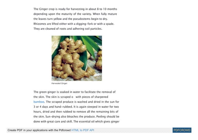 Www agrifarming in_ginger_farming | PPT