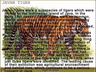 Wwwwwwwww | PPS | Environment | Science