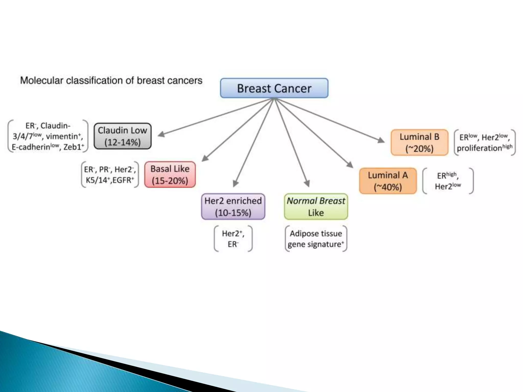 Molecular subtypes of breast cancer | PPTX