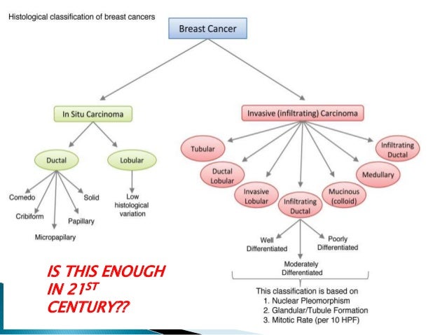 Molecular subtypes of breast cancer