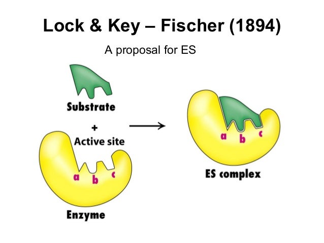 Lecture 9