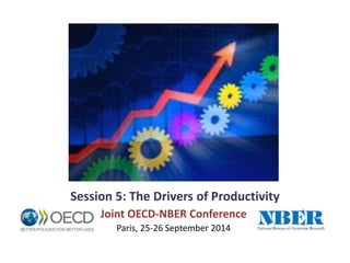 The Drivers of Productivity, Andrew Wyckoff | PPT