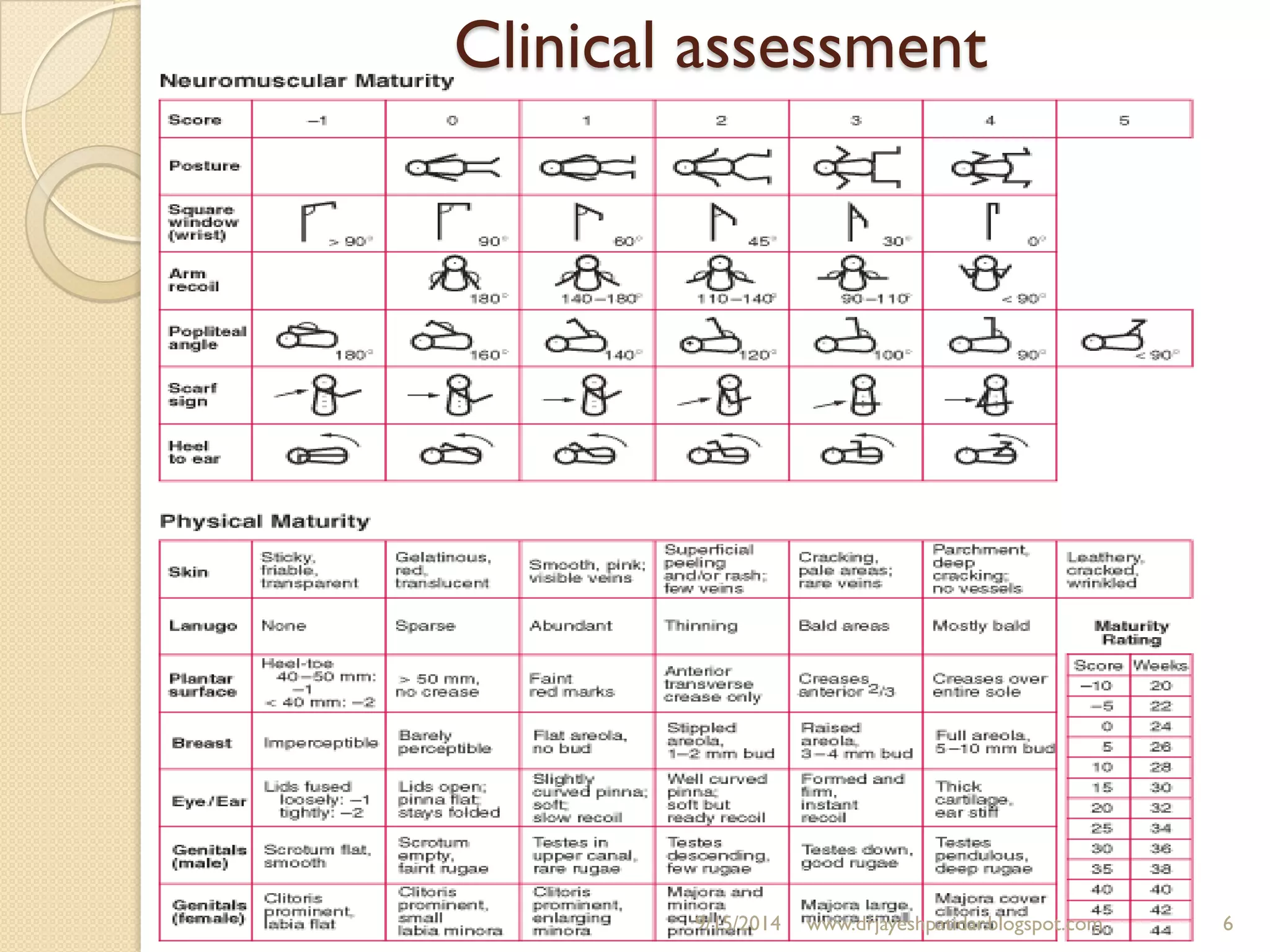 High risk-assessment | PDF