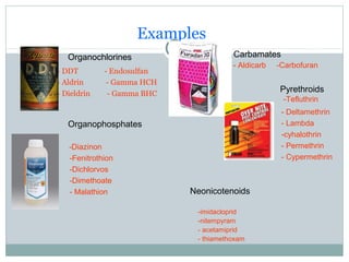 insecticides | PPT