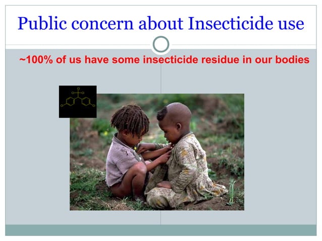 insecticides | PPT | Gardening | Home & Garden