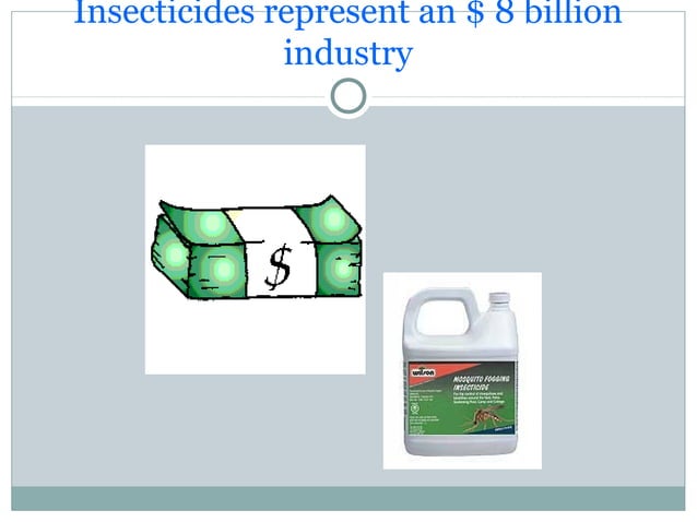 insecticides | PPT | Gardening | Home & Garden