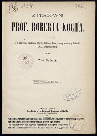 KAMIENICA BUJWIDÓW W KRAKOWIE (wystawa) | PDF | Museums & Galleries ...