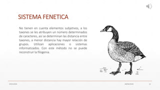 Sistemas de clasificacion | PPTX