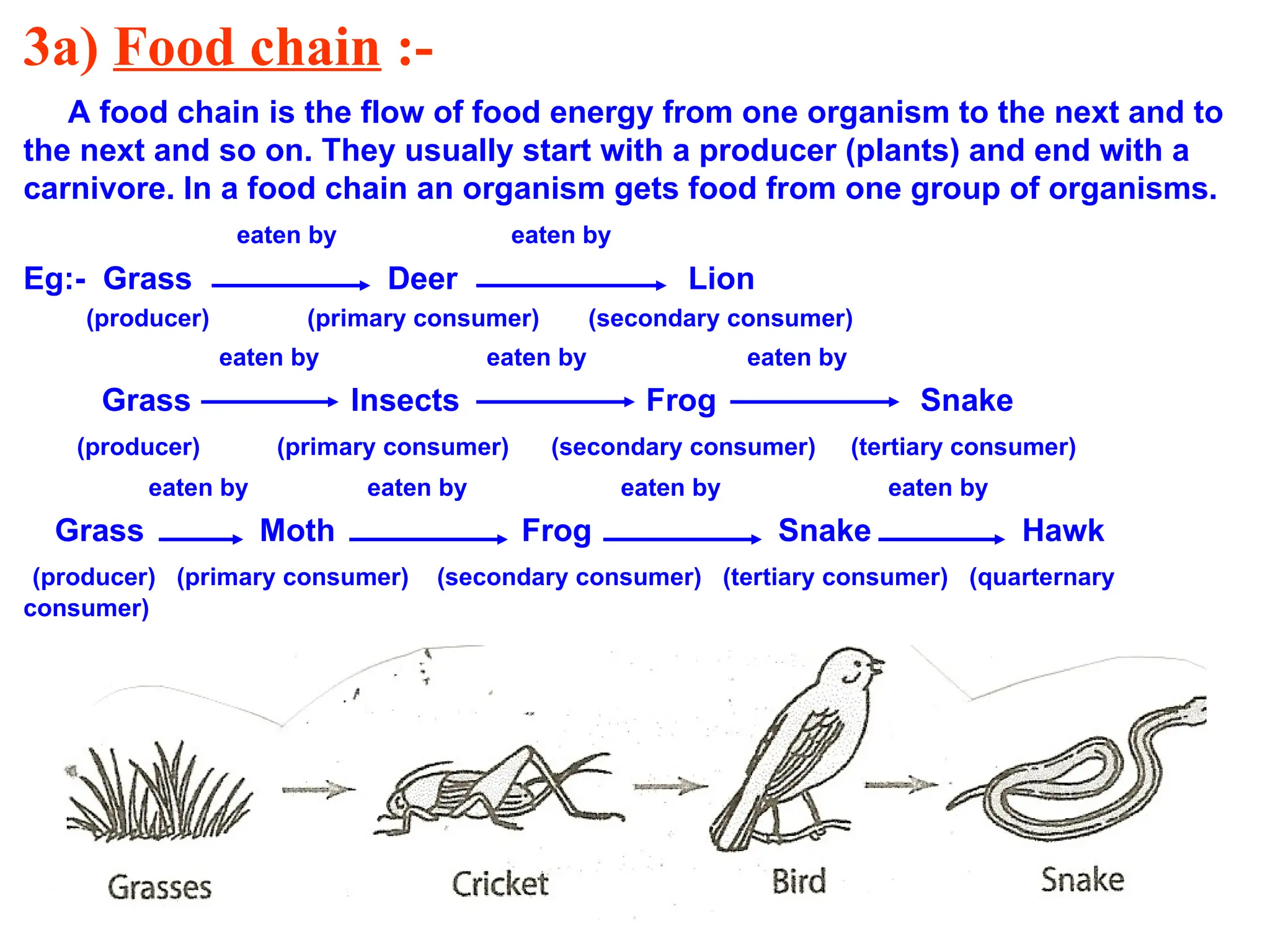Class 10th chapter15-Our environment.ppt