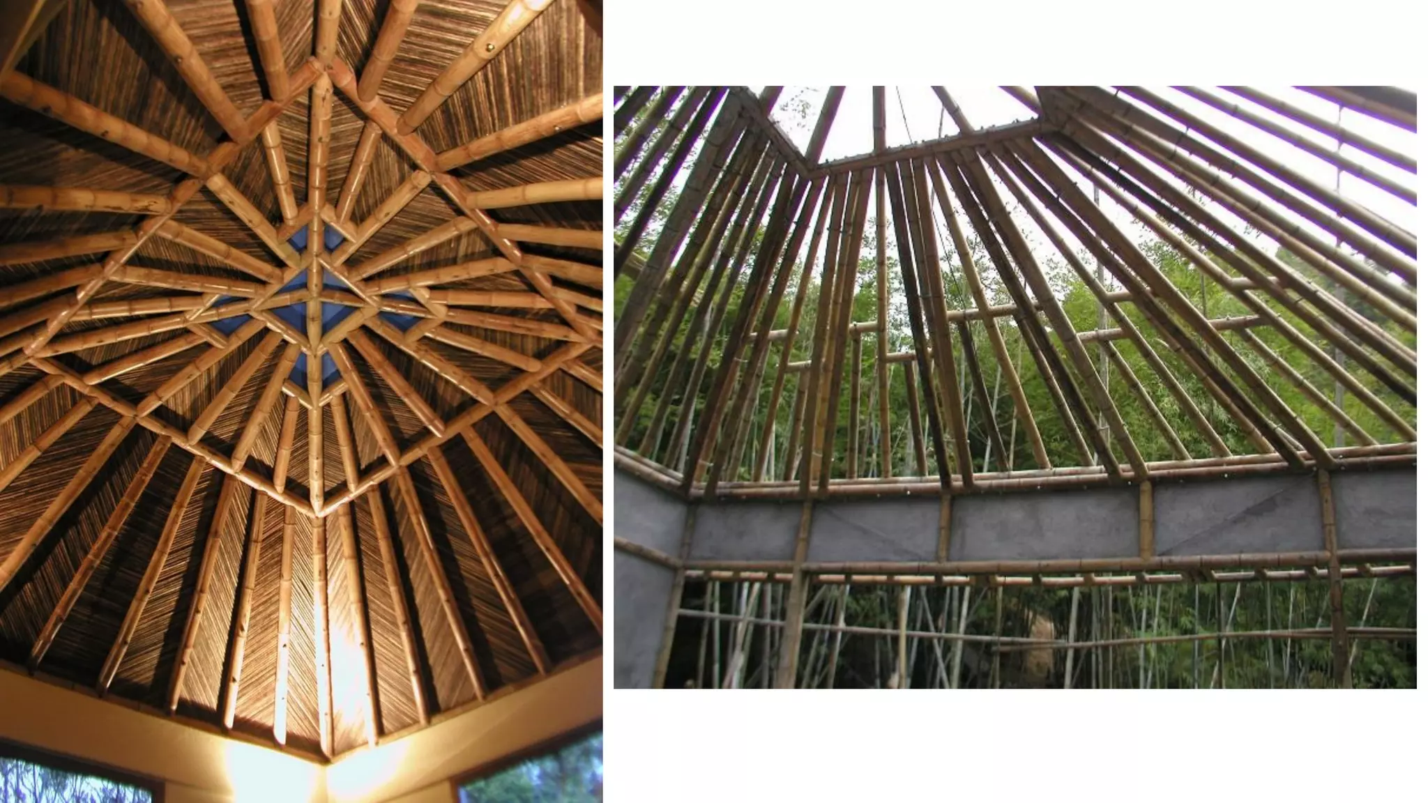 Building construction with Guadua angustifolia Kunth in Colombia | PDF ...
