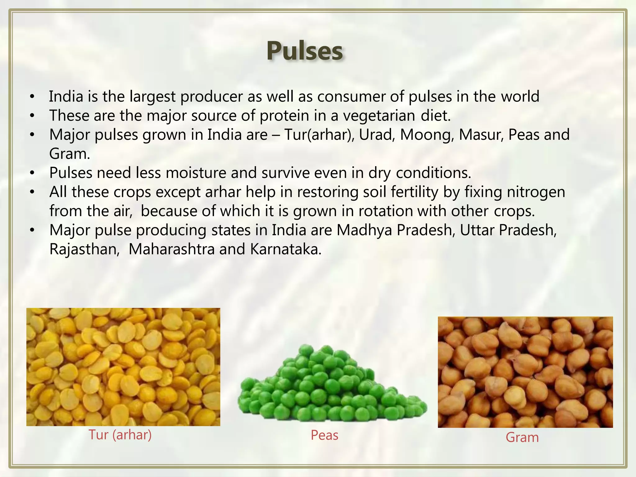 X.Geo.chp4.agriculture | PPTX