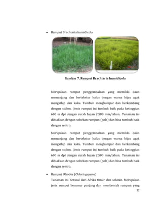 X 2 dasar-dasar-pakan-ternak | PDF