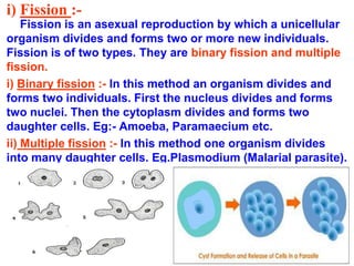 X-8-How do organisms reproduce.ppt