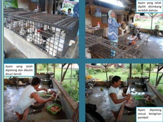 X.8 magistra dwinovia indriani ppt | PPT