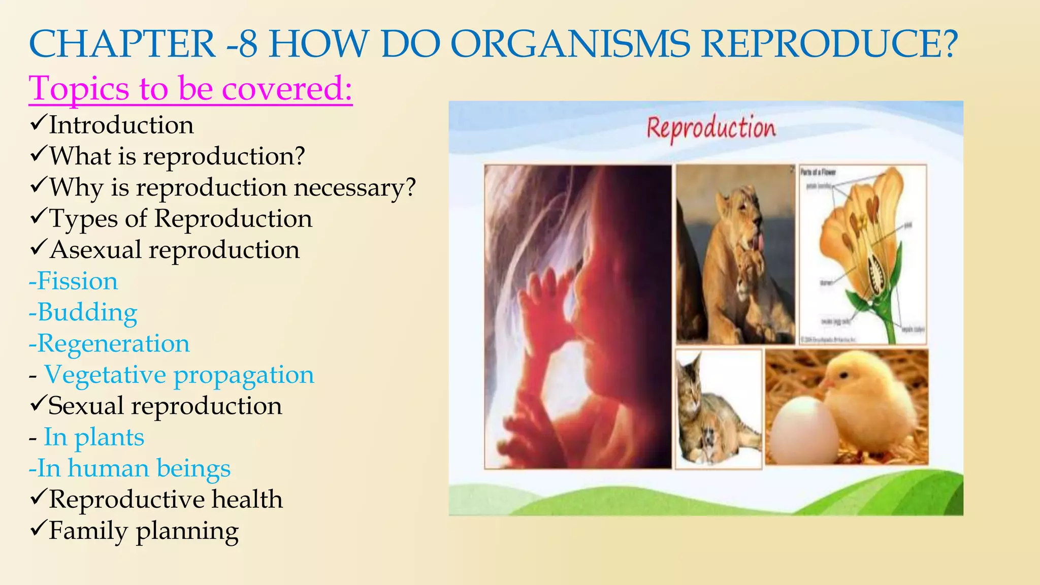 X biology ch-8 life processes | PPTX