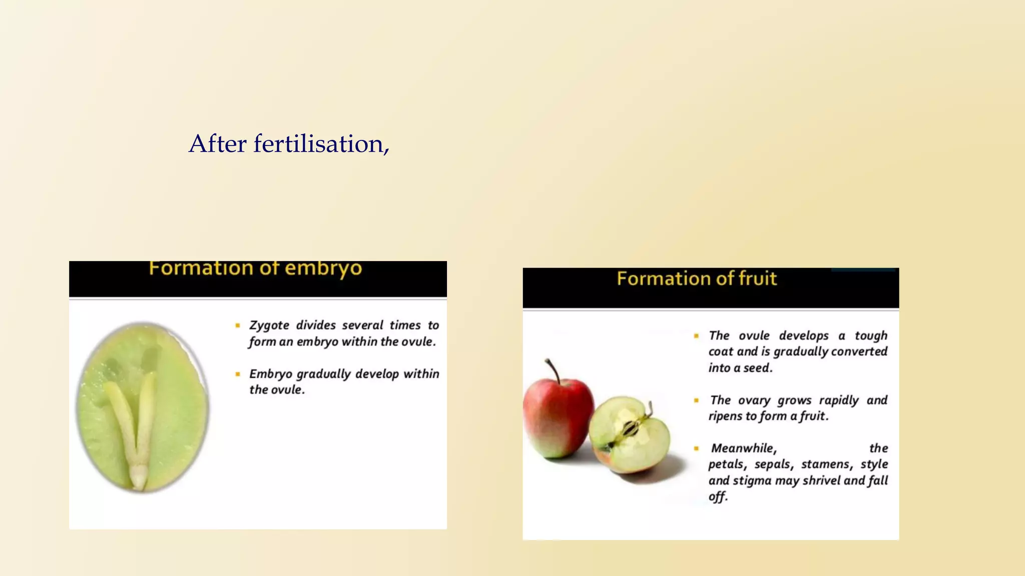 X biology ch-8 life processes | PPTX