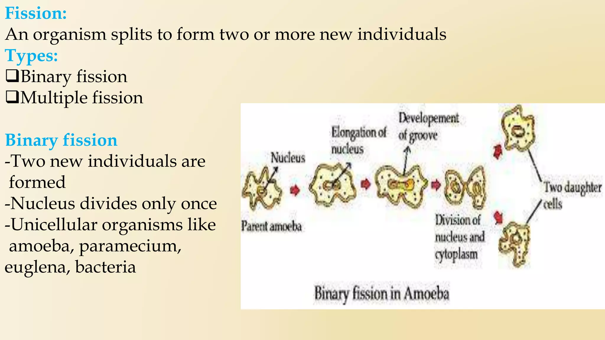X biology ch-8 life processes | PPT