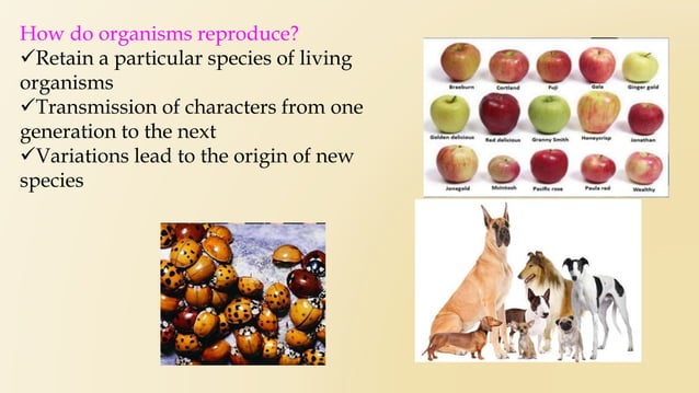 X biology ch-8 life processes | PPT