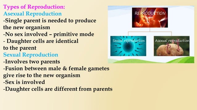 X biology ch-8 life processes | PPT