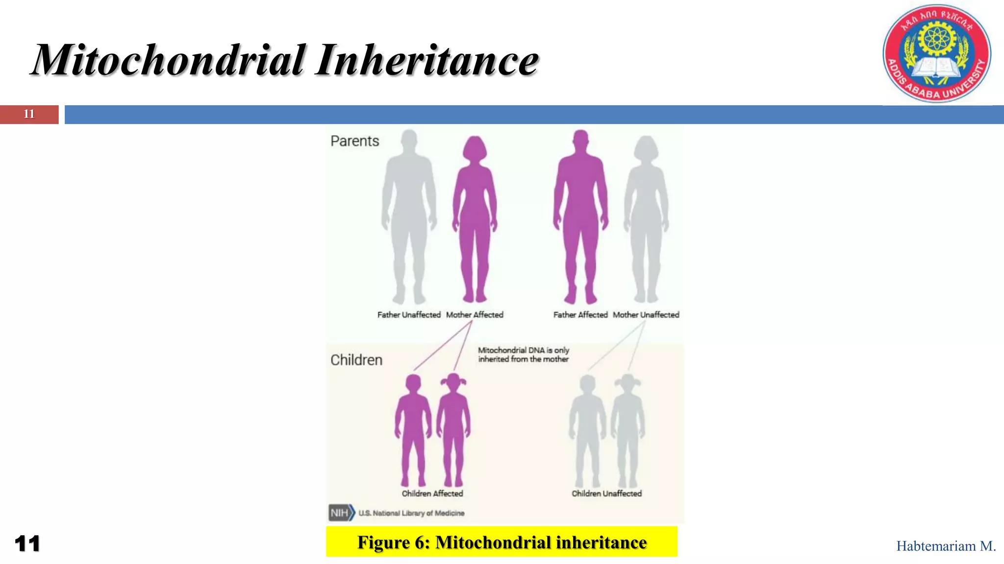 X-chromosome and sex-linked diseases.pptx