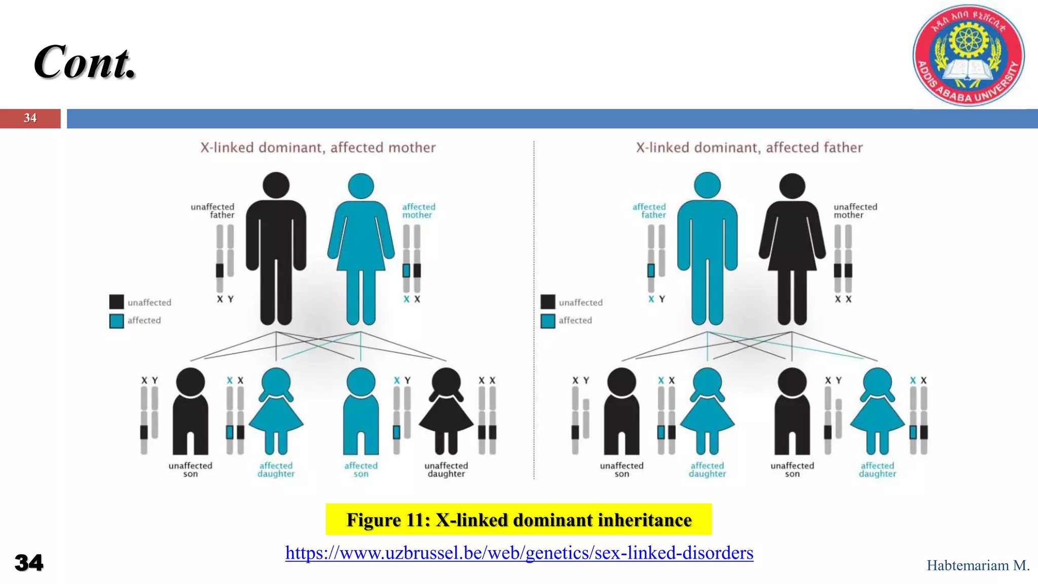 X-chromosome and sex-linked diseases.pptx