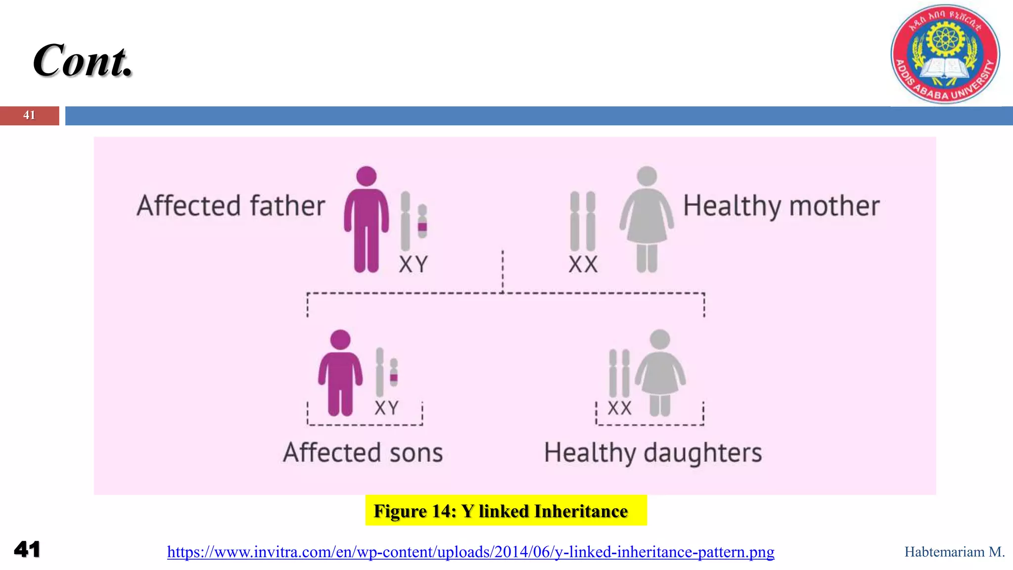 X-chromosome and sex-linked diseases.pptx