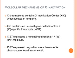 X chromosome inactivation ambaye, s. & mujahed, h. | PPTX | Infertility ...