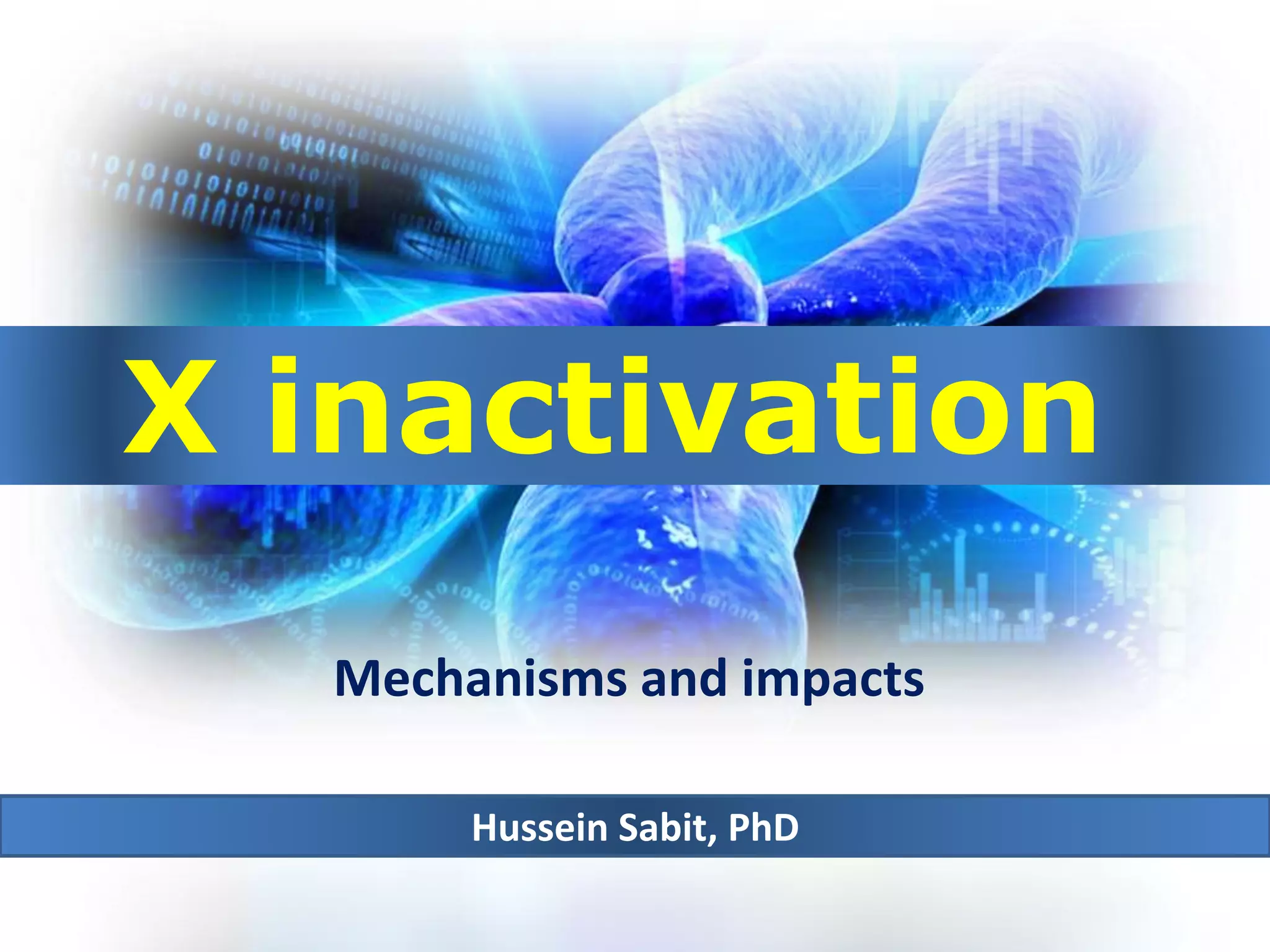 X Chromosome Inactivation Pptx