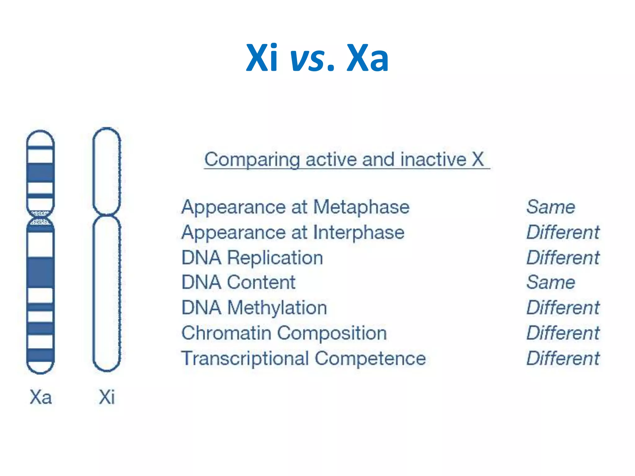 X Chromosome Inactivation Pptx