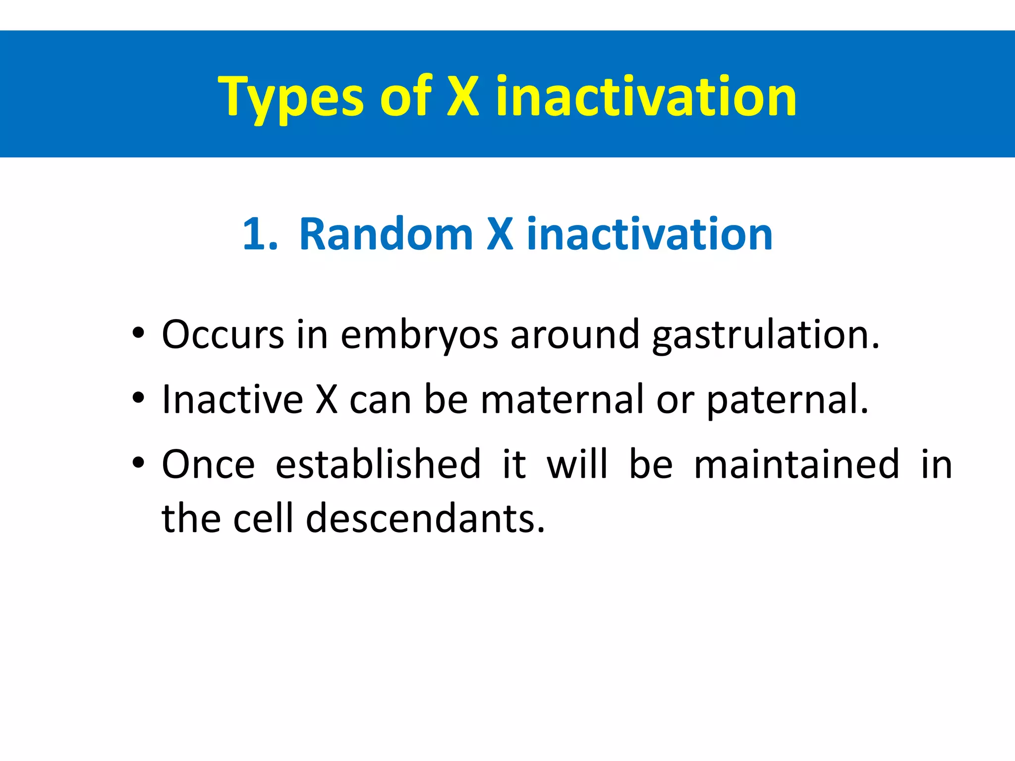 X Chromosome Inactivation Pptx