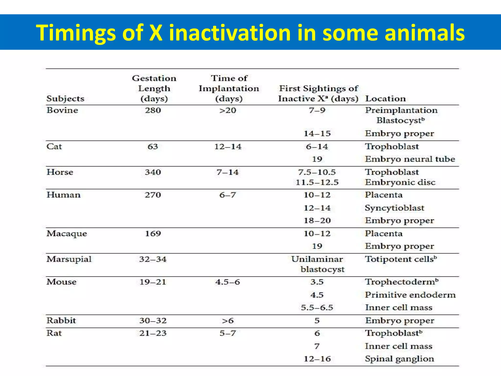 X Chromosome Inactivation Pptx