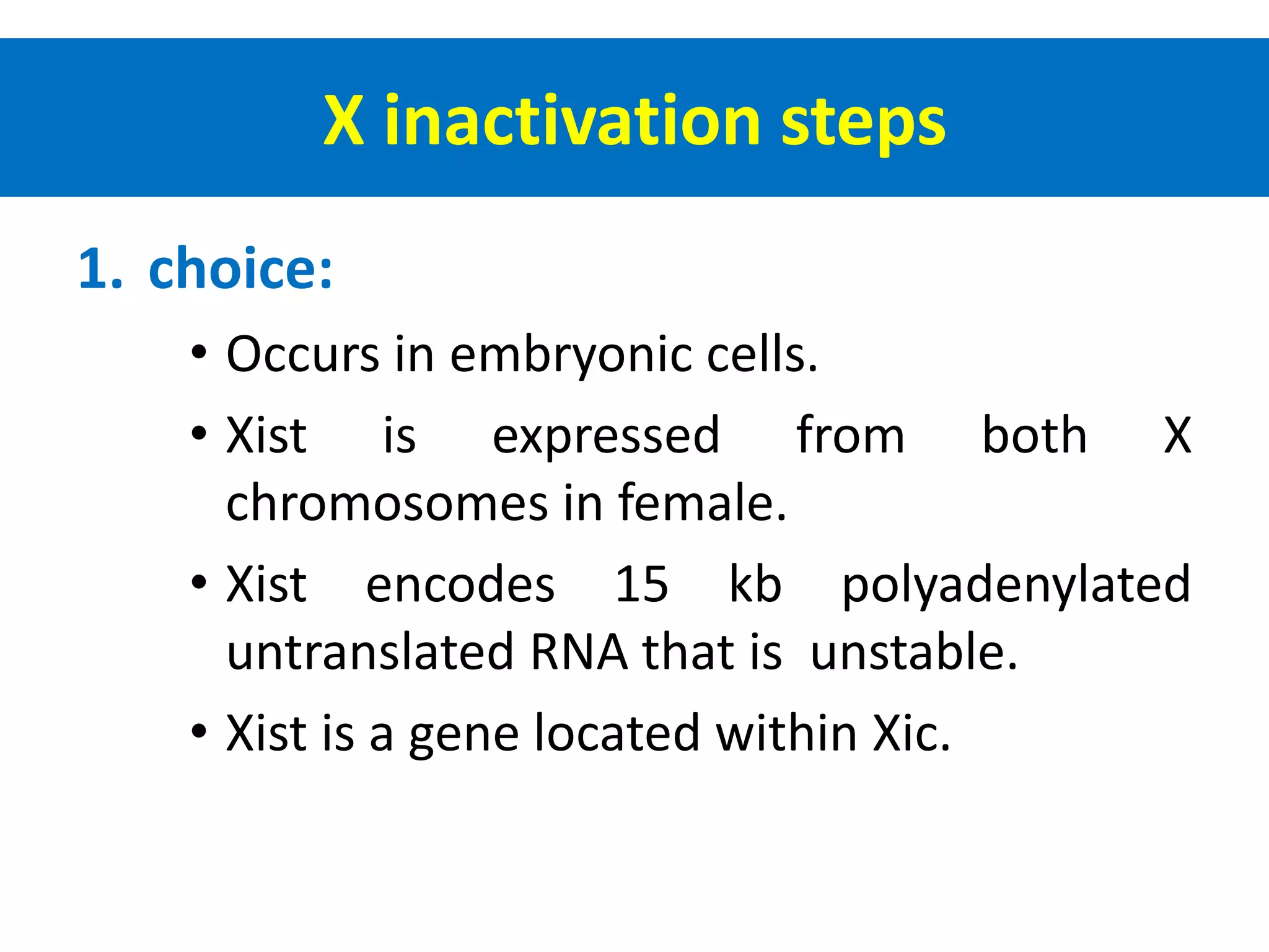 X Chromosome Inactivation Pptx