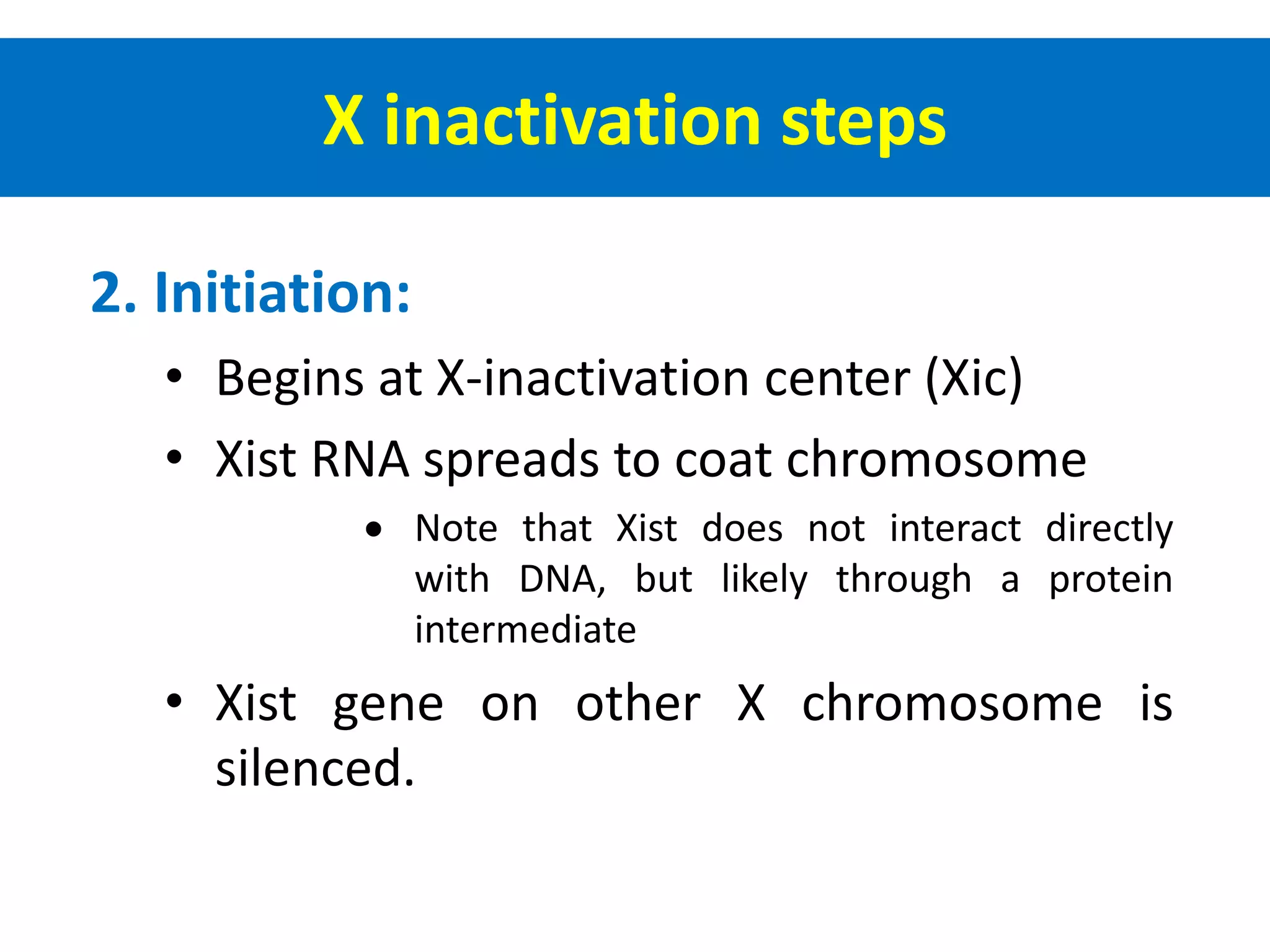 X Chromosome Inactivation Pptx