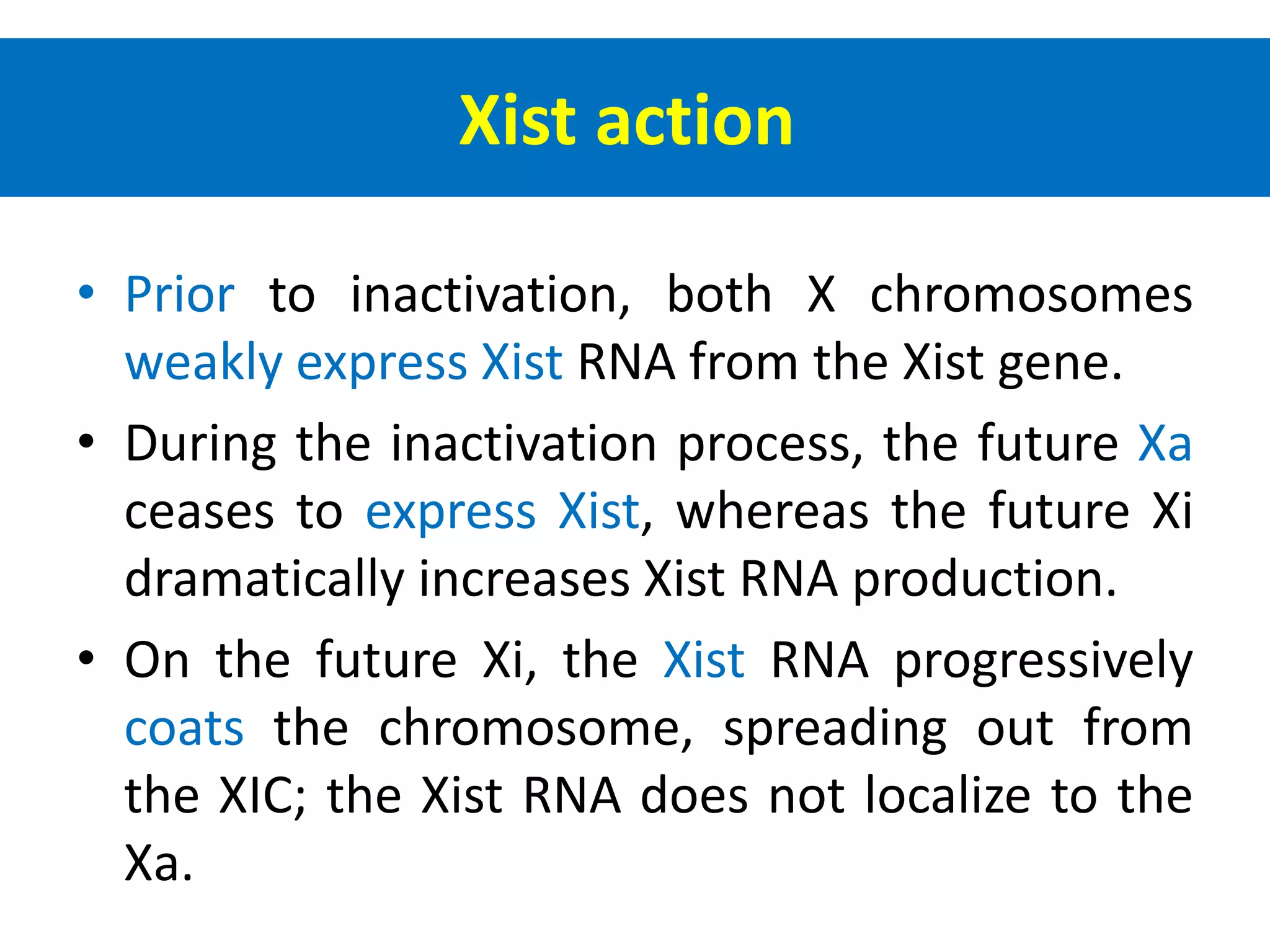 X Chromosome Inactivation Pptx