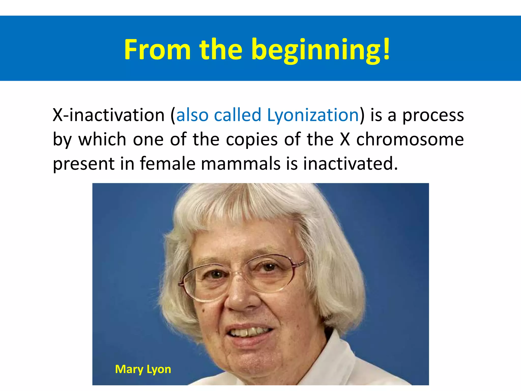 X Chromosome Inactivation Pptx