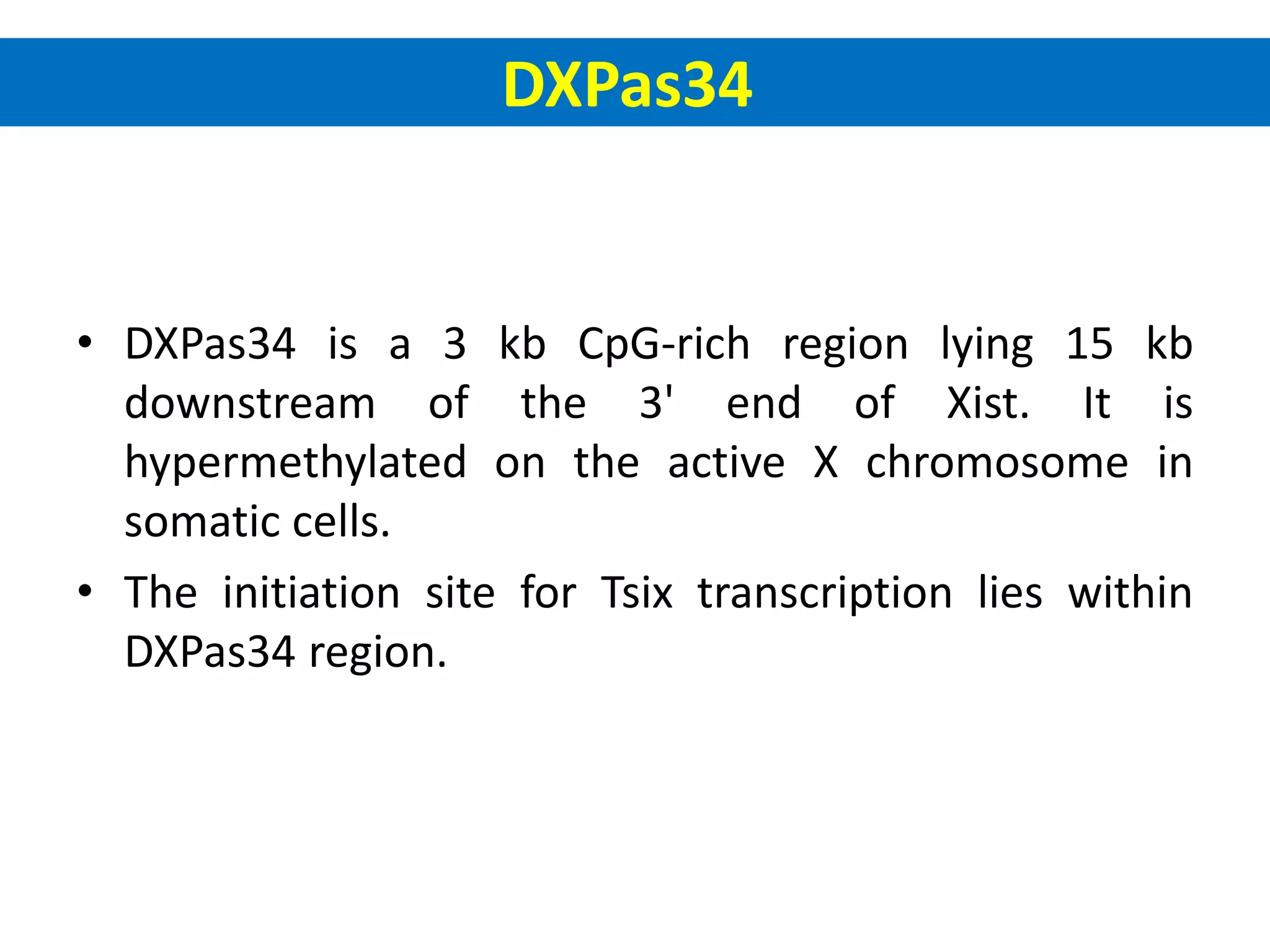 X Chromosome Inactivation Pptx