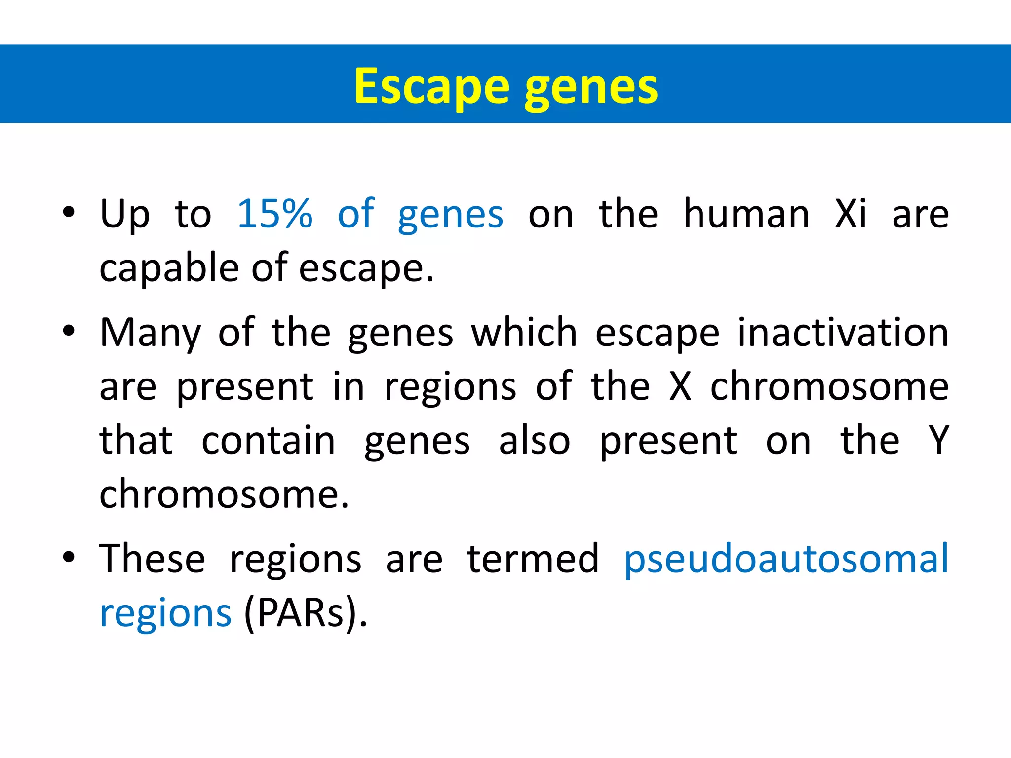 X Chromosome Inactivation Pptx