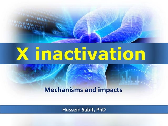 X chromosome Inactivation | PPTX