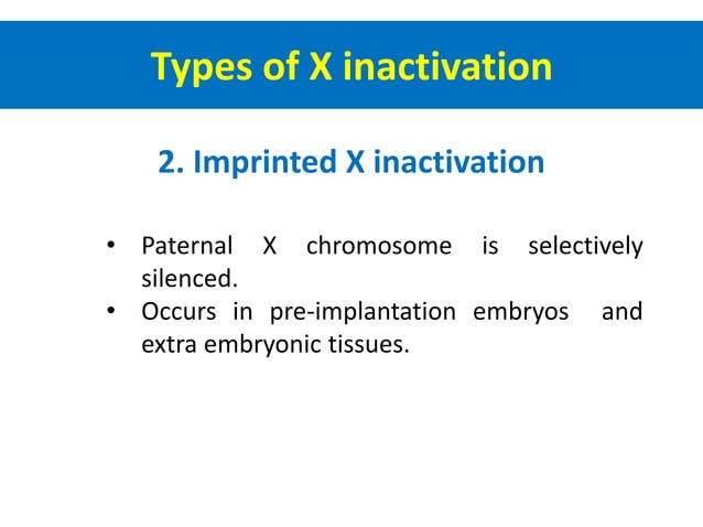 X chromosome Inactivation | PPTX
