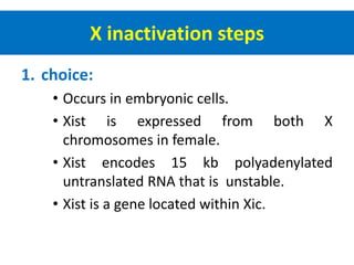 X chromosome Inactivation | PPTX