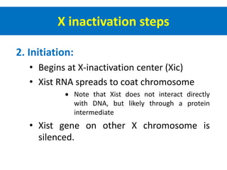 X chromosome Inactivation | PPTX