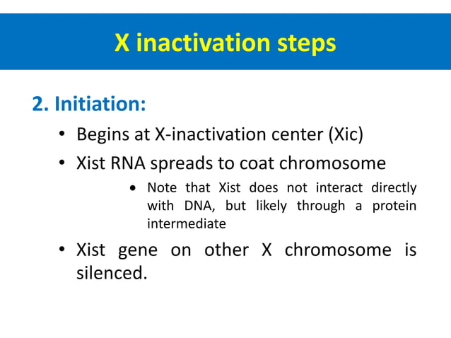 X chromosome Inactivation | PPTX