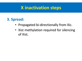 X chromosome Inactivation | PPTX
