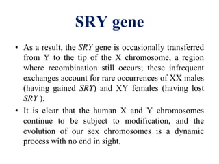 X chromosome Inactivation | PPTX