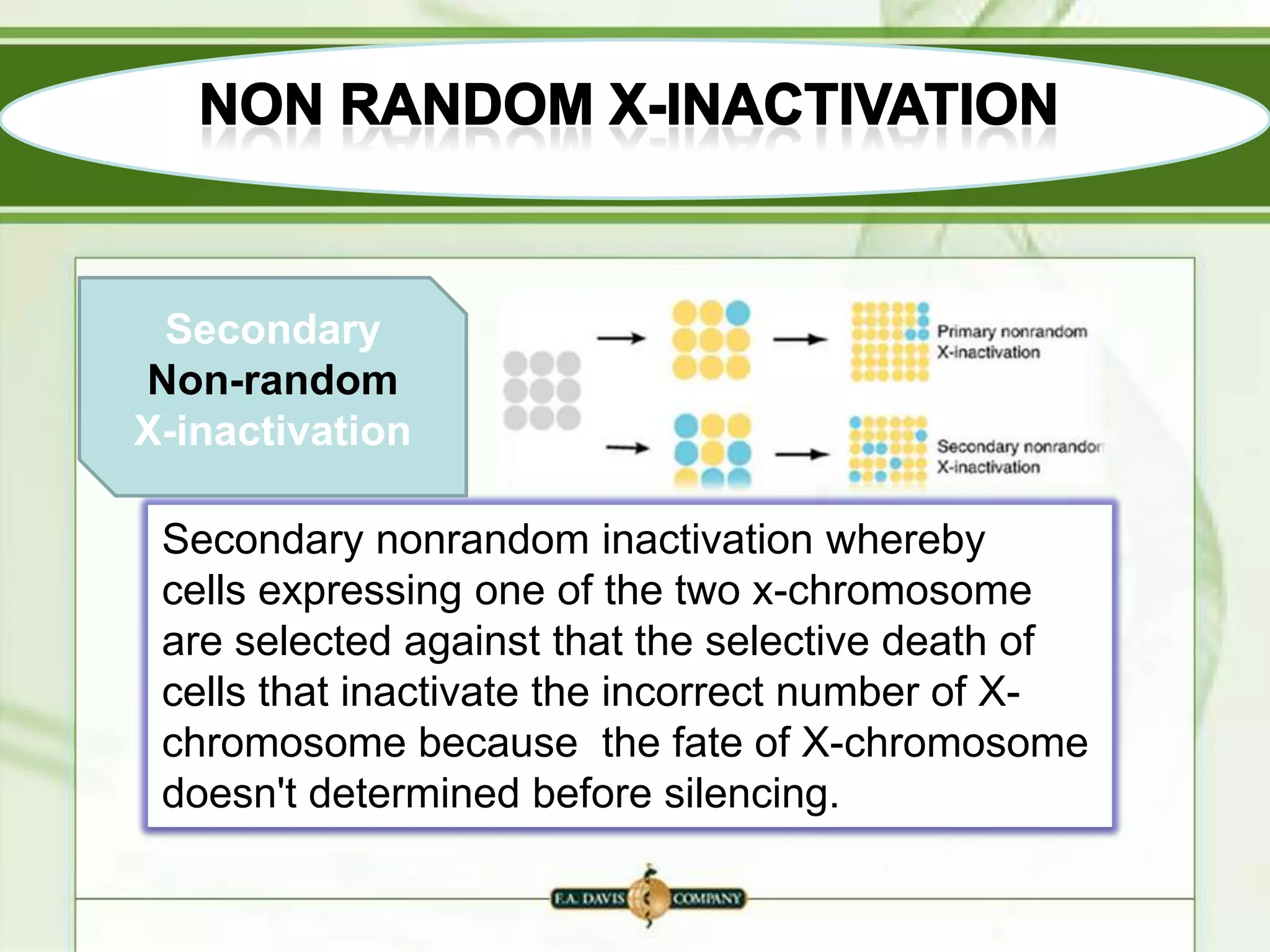 X inactivation in mammals | PPTX