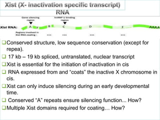 X inactivation in mammals | PPTX