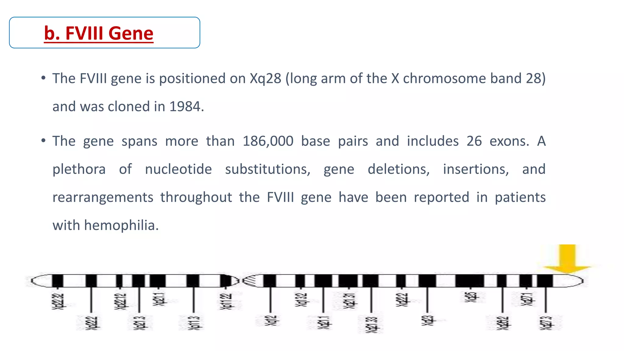 X linked diseases-mitochondrial diseases | PPTX